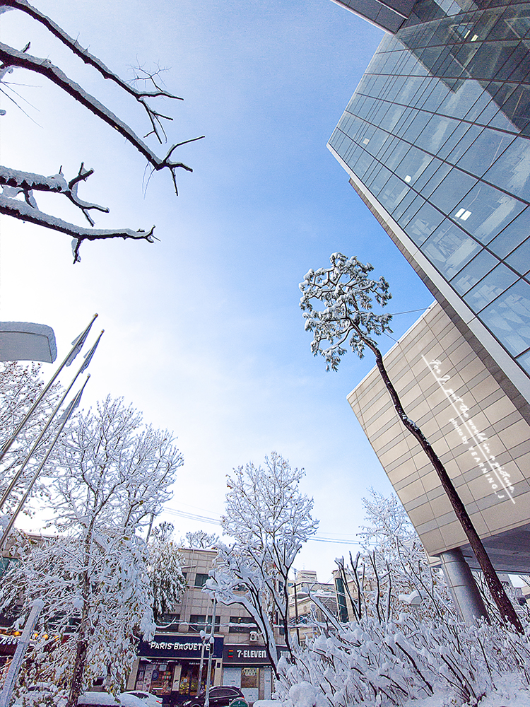 첫눈 - 작품갤러리 - 필포토 Feelphoto