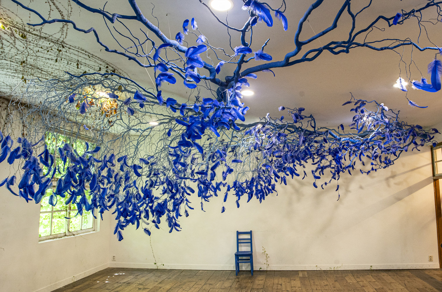 Violet Blue - 작품갤러리 - 필포토 Feelphoto